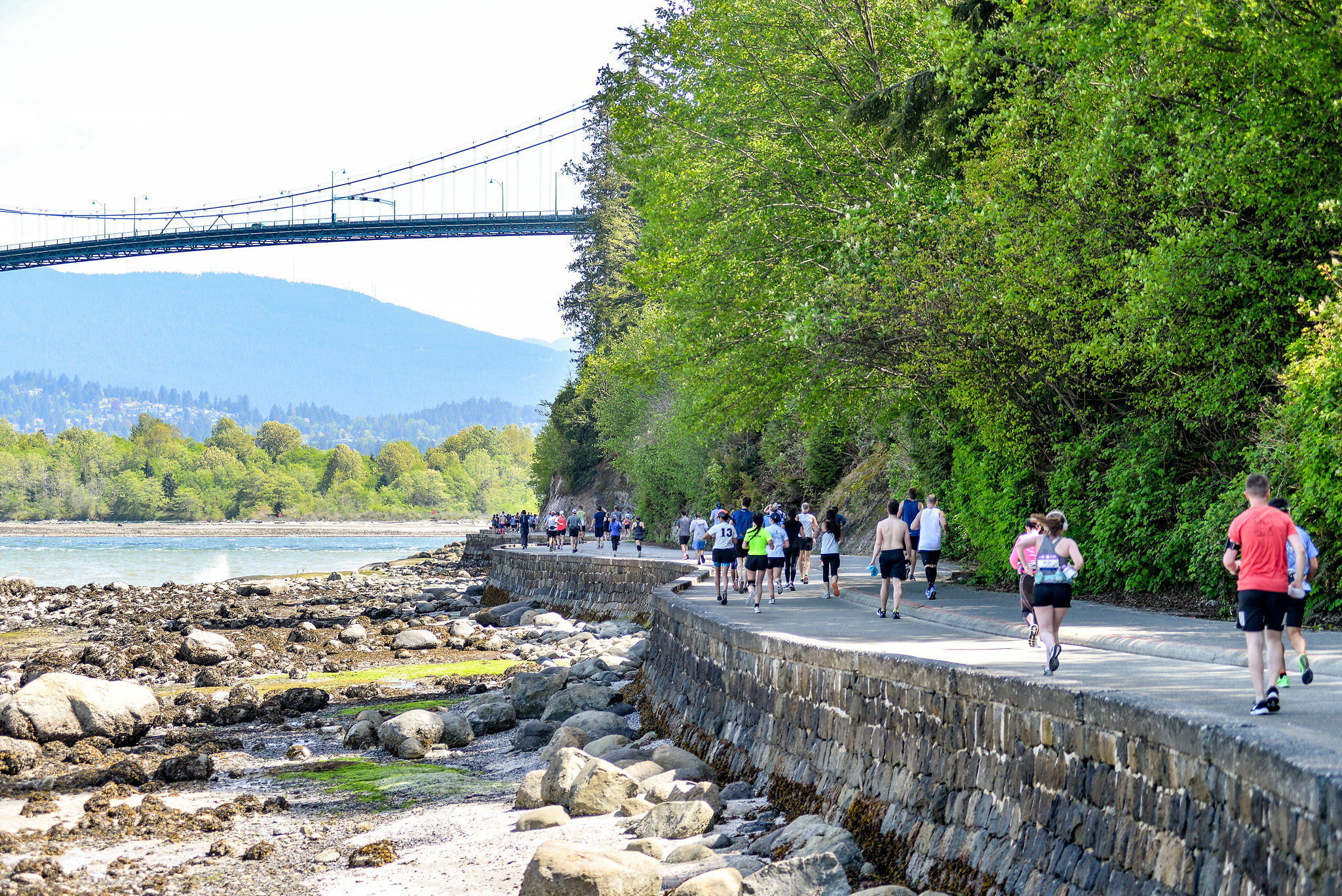 Marathon | BMO Vancouver Marathon