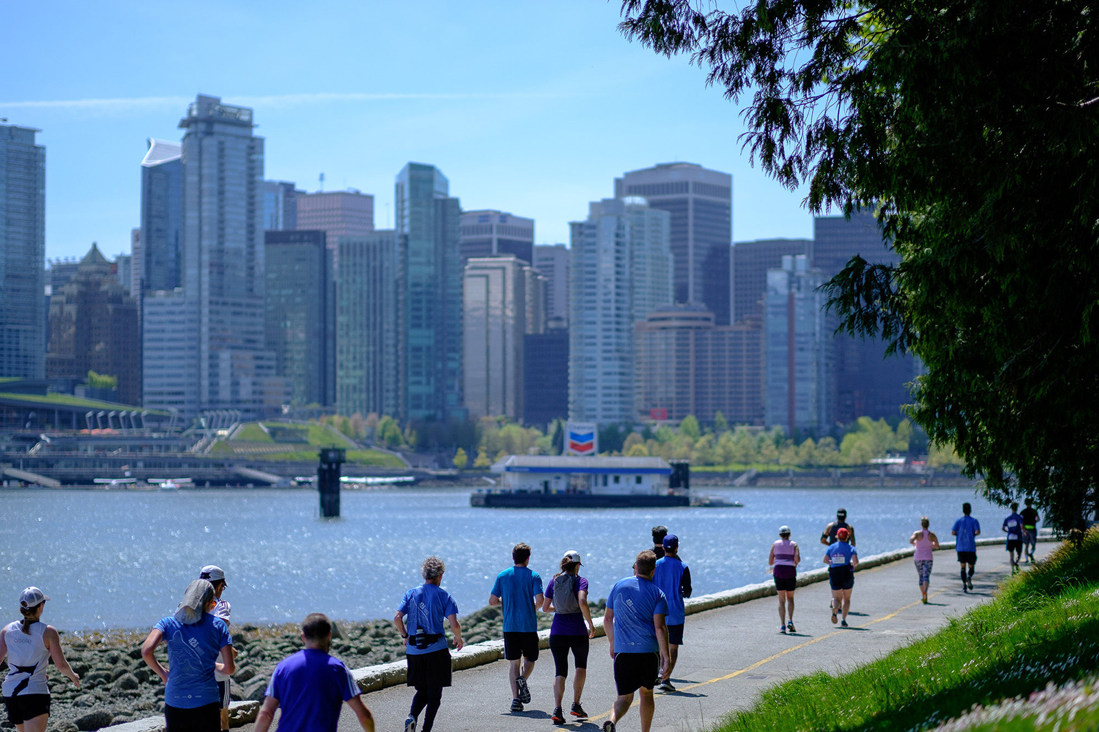 Marathon | BMO Vancouver Marathon